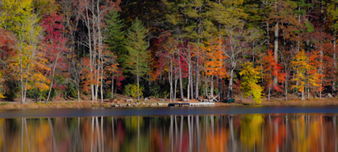 Inside the Photography Business: Steven Norris
